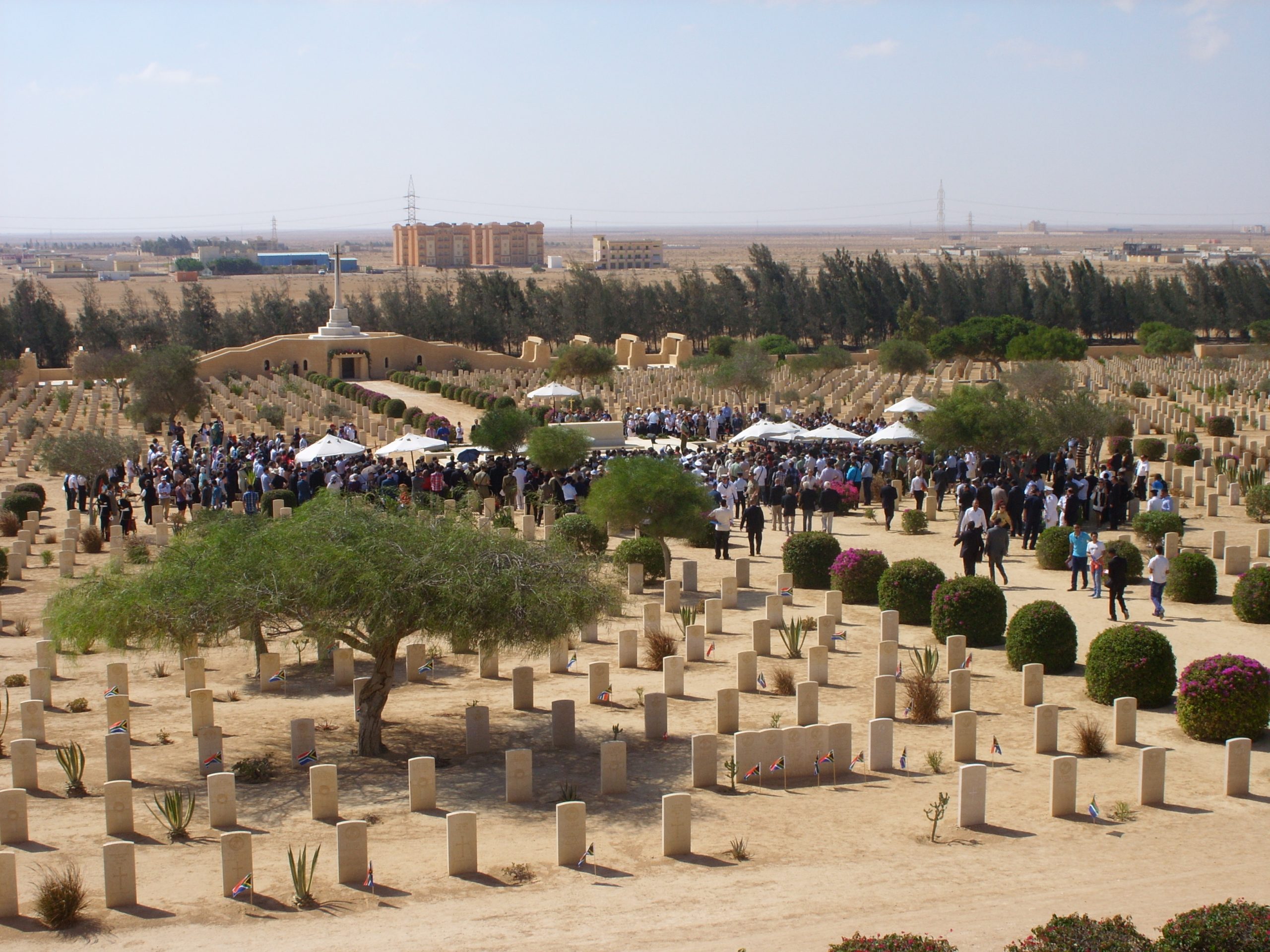 Home - Western Desert Battlefield Tours